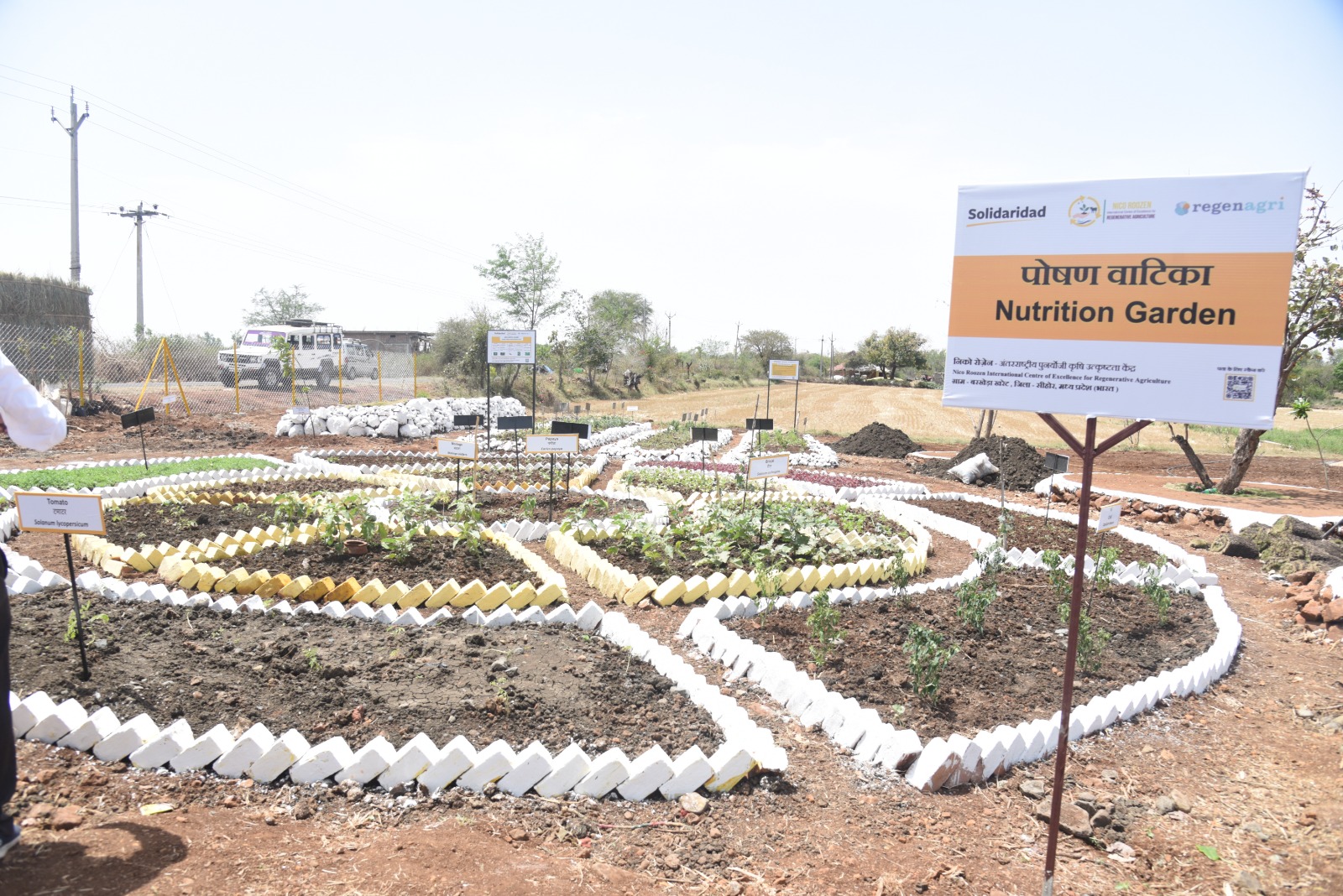 Home | Nico Roozen International Center of Excellence for Regenerative ...