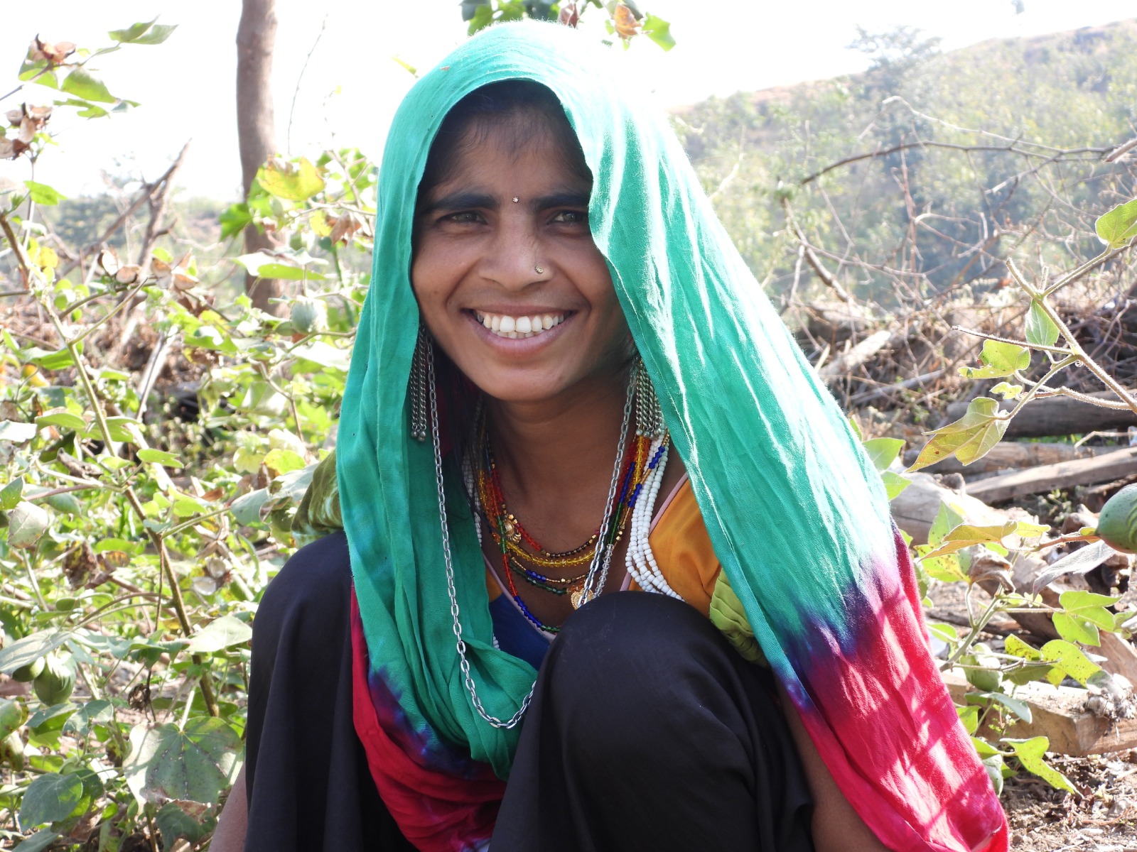 Home | Nico Roozen International Center of Excellence for Regenerative ...