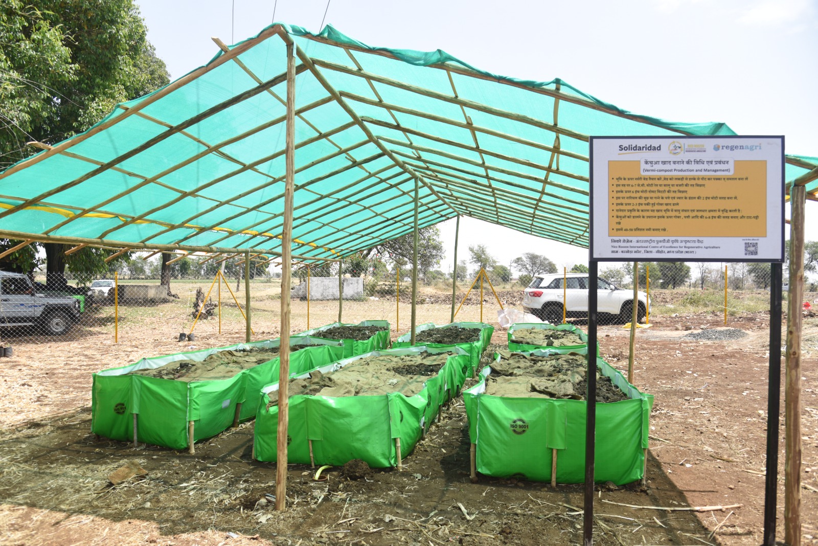 Home | Nico Roozen International Center of Excellence for Regenerative ...